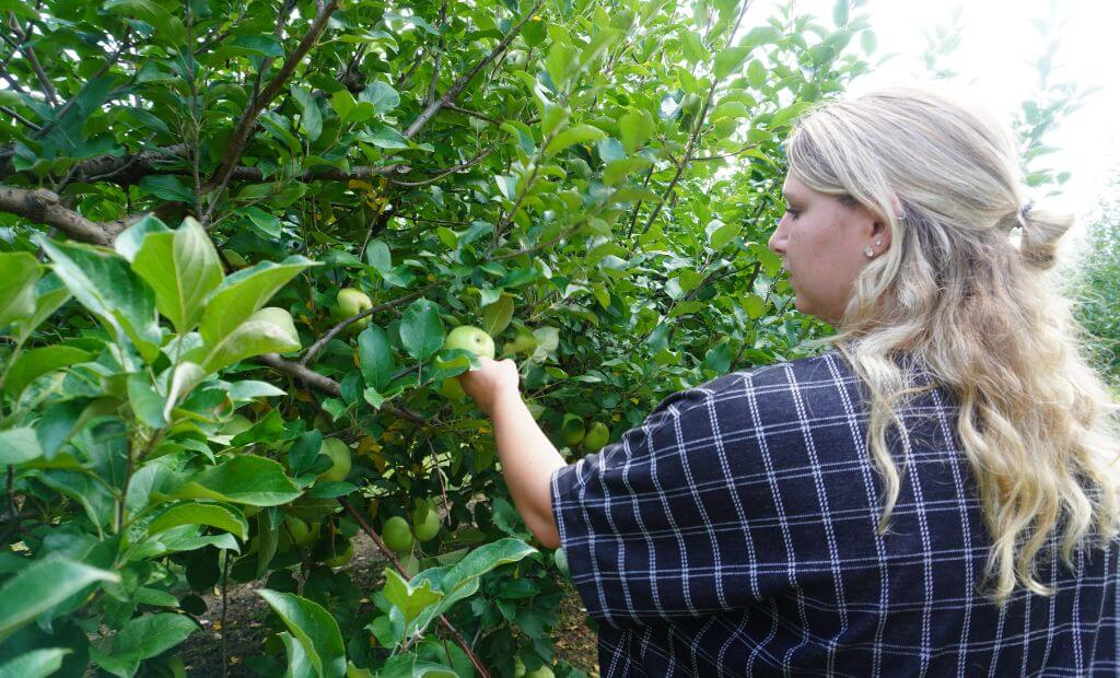 David Doud's Countyline Orchard - Visit Wabash County