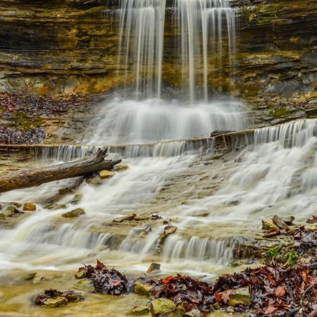 Salamonie River State Forest - Visit Wabash County